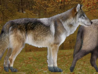 Extinct Dire Wolf | Dire Wolf Project